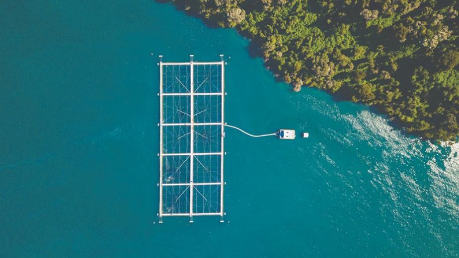 Net Suppliers for Fisheries and Aquaculture at Garware